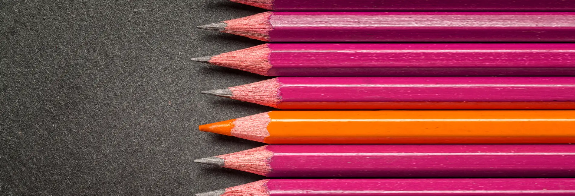 Internal identity: Consistency vs. coherence? | blue goose